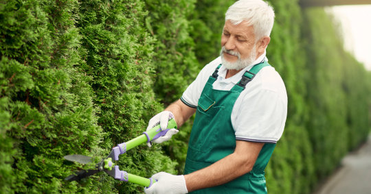 Hedge Trimming - Lightyear Lawn Care