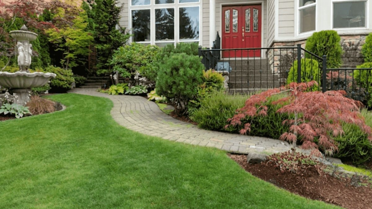 Lightyear Lawn Care - Lightyear Lawn Care